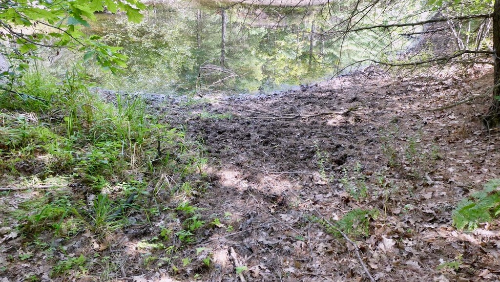 V/l Lame Duck Truck Trl, Unknown City Property Listing: MLS® #68025048201