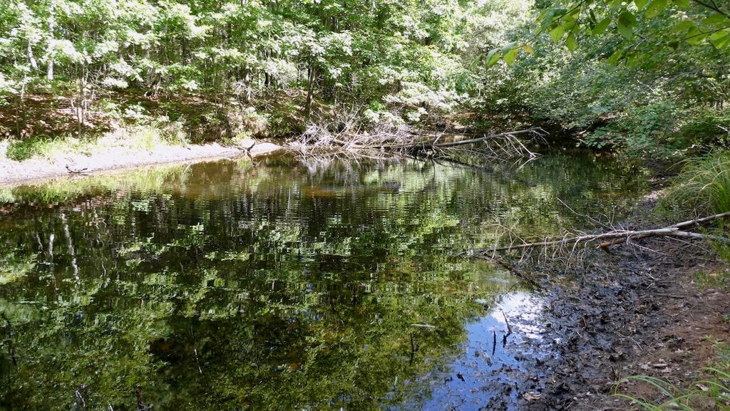 V/l Lame Duck Truck Trl, Unknown City Property Listing: MLS® #68025048201