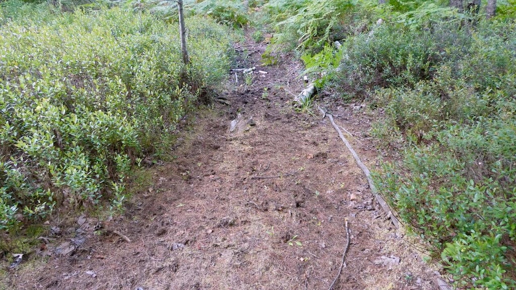 V/l Lame Duck Truck Trl, Unknown City Property Listing: MLS® #68025048201