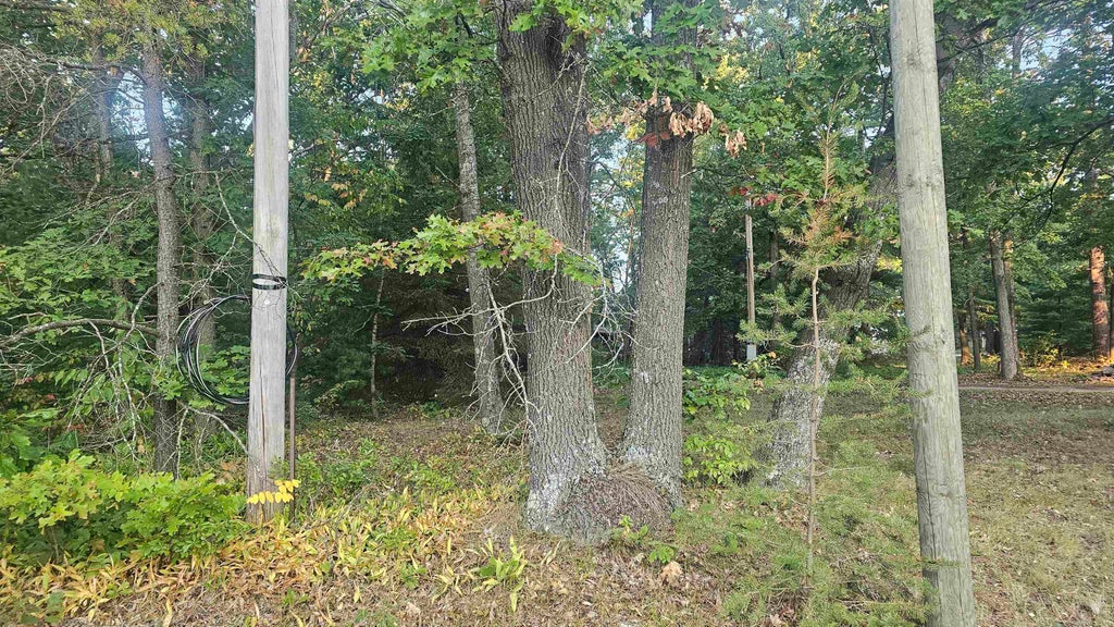 428 Pinnacle Ct, Deep River township Property Listing: MLS® #77080061873