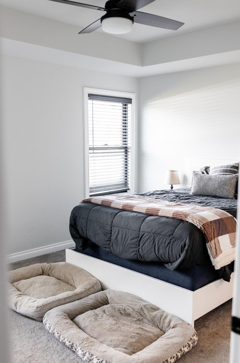 1826 Riley Road, St. Clair city Property Listing: MLS® #81025062568