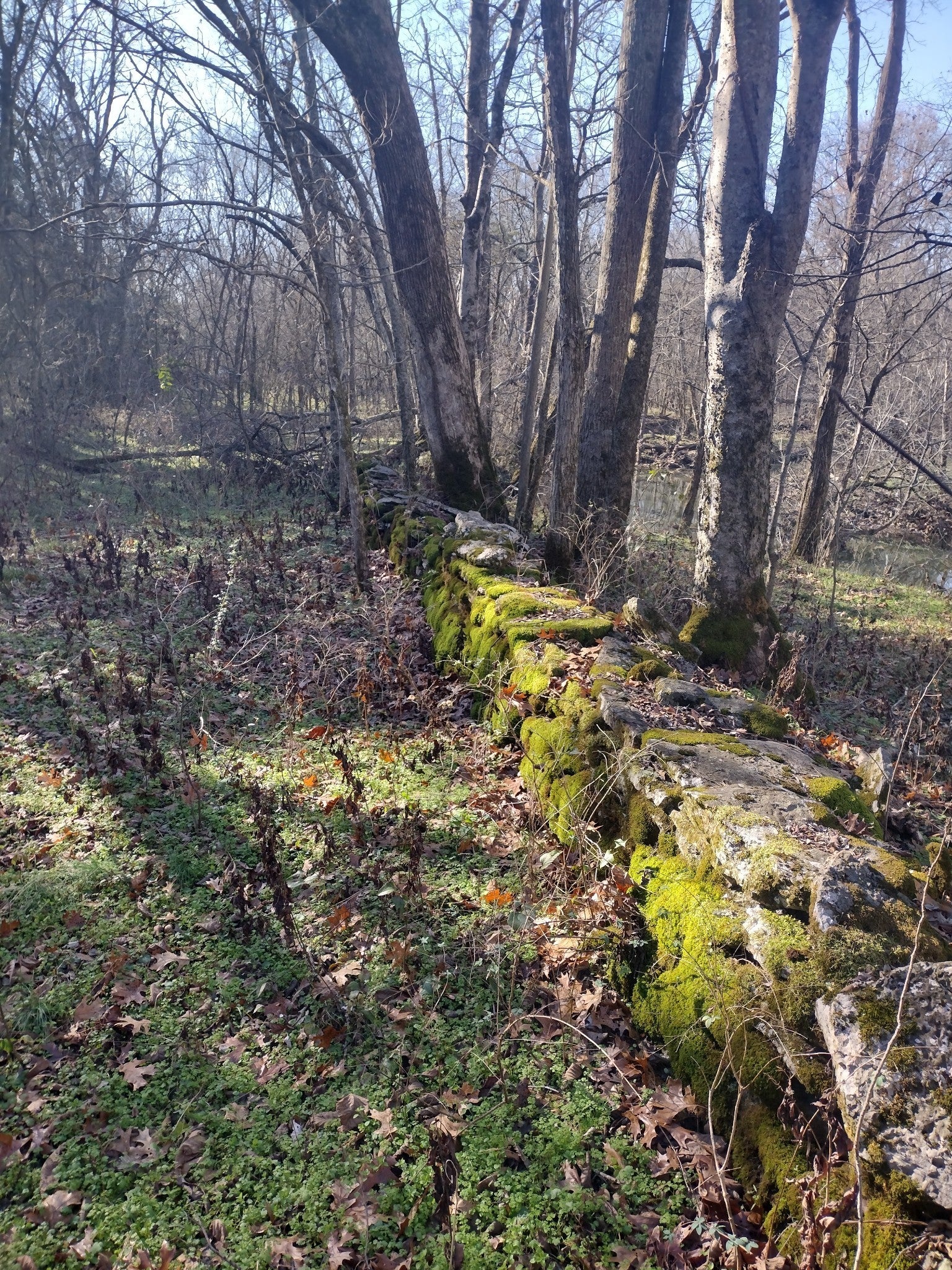 980 Baldy Ford Road Lascassas TN - MLS #3067503