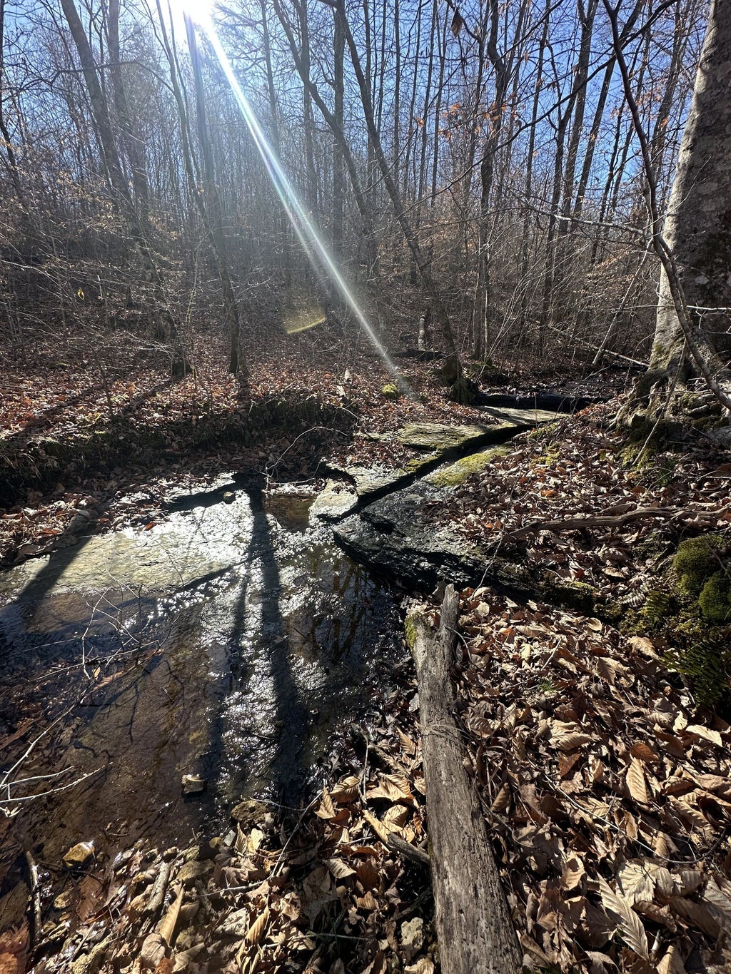 0 Rack Clayton Road, Hohenwald Property Listing: MLS® #3093223