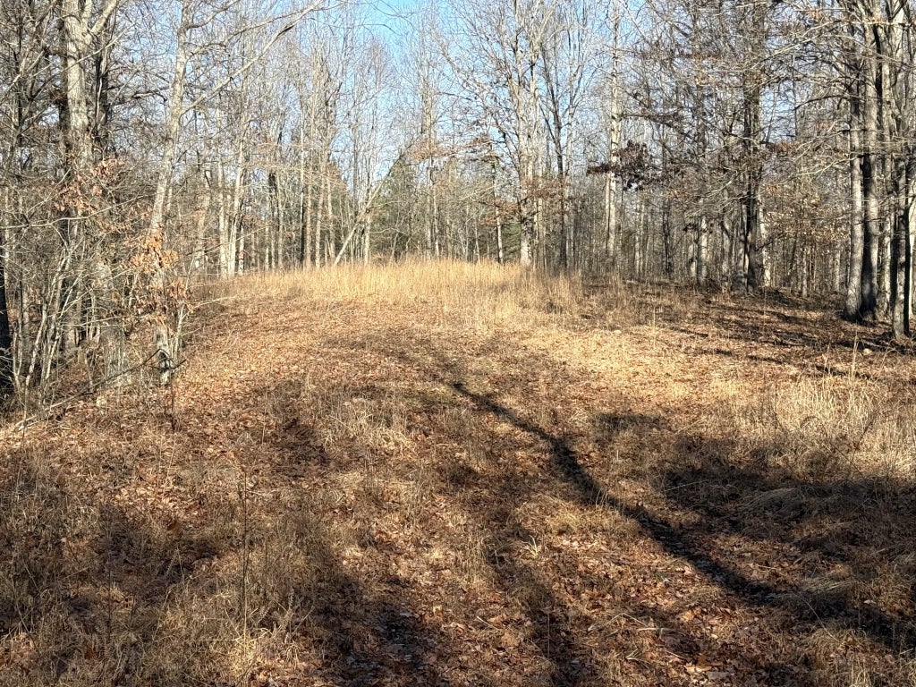 0 Rocky Point Rd, Stewart Property Listing: MLS® #3093501