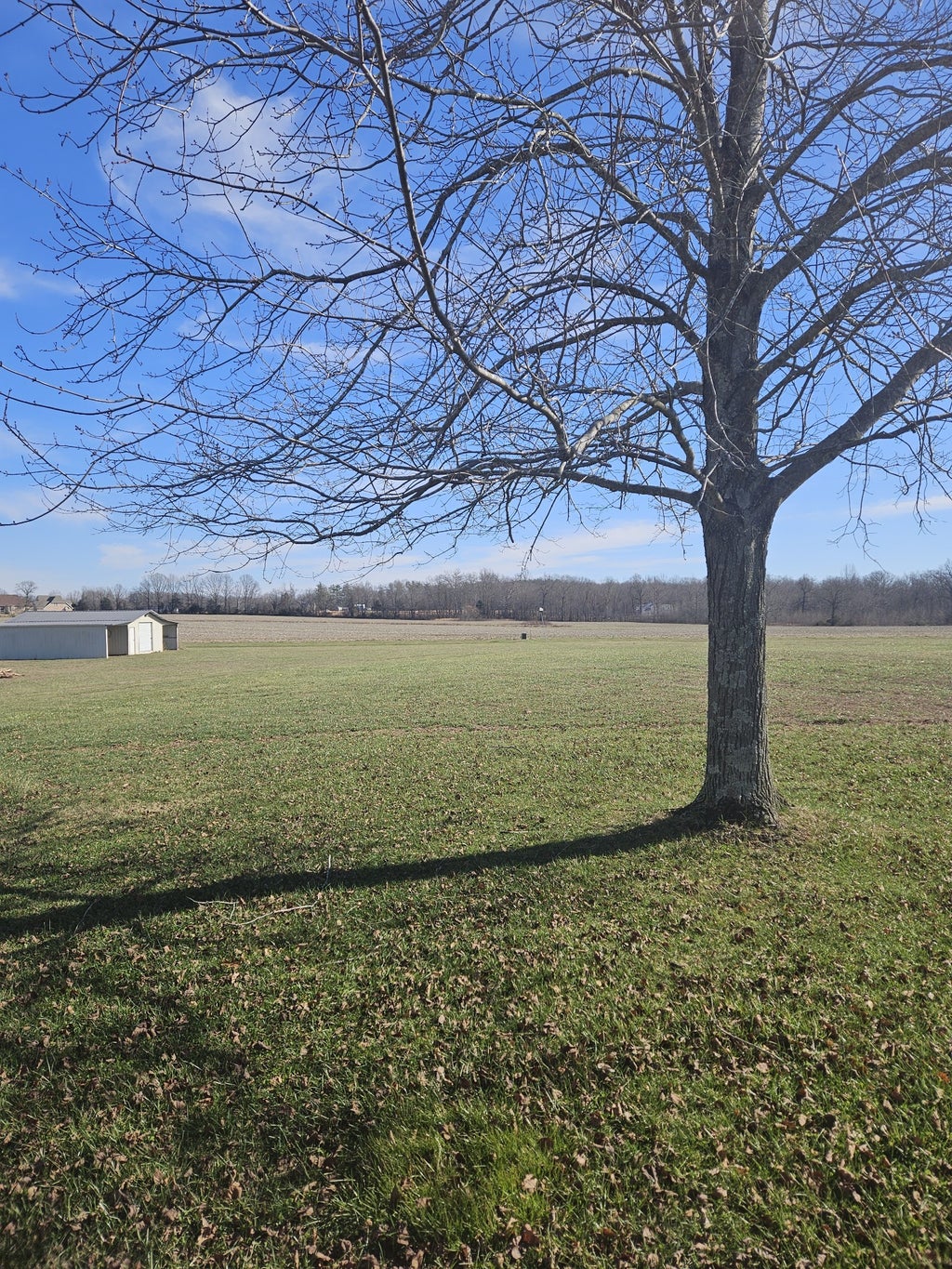 183 Gilliam Ln, Tullahoma Property Listing: MLS® #3097735