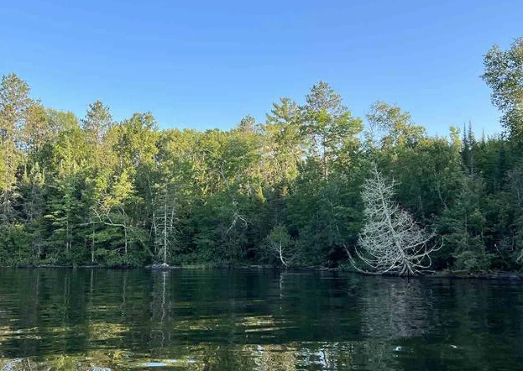 Tbd Norwegian Bay N, Cook - MLS #6672634 - LakePlace.com