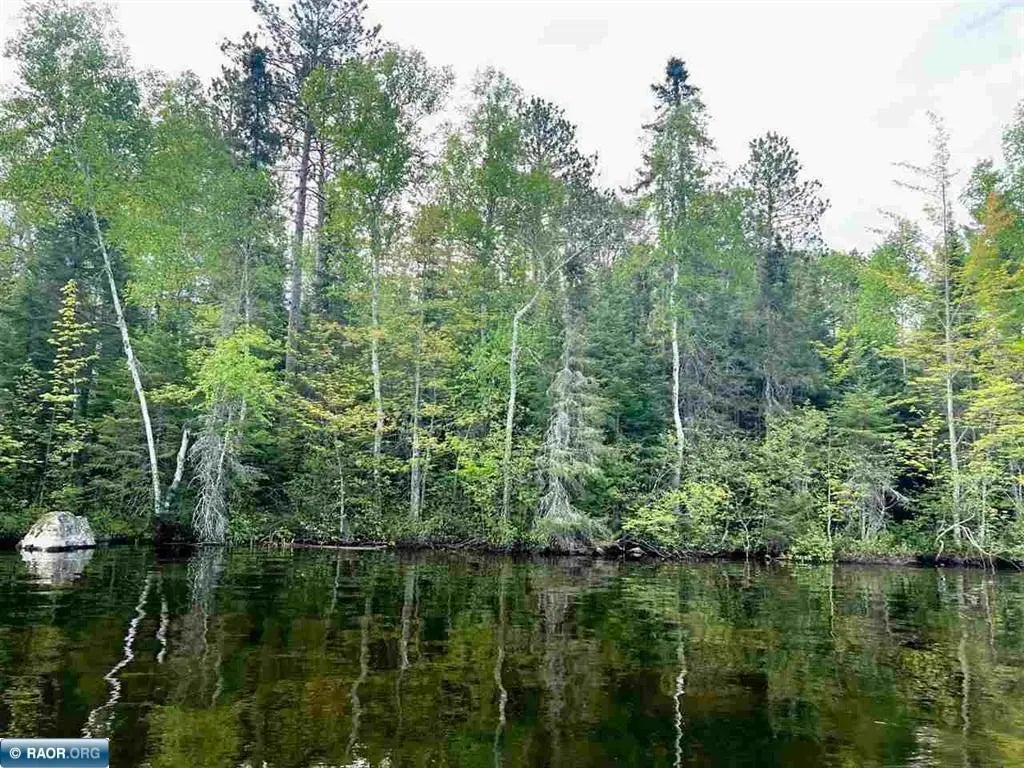 Tbd Norwegian Bay N, Cook - MLS #6672634 - LakePlace.com
