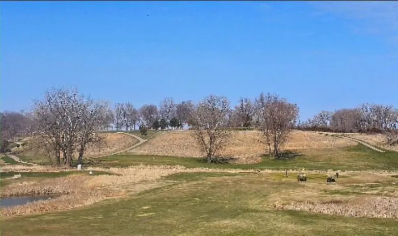 25200 Eagle Trace, Hancock, MN - MLS# 7009154 - LandBin.com