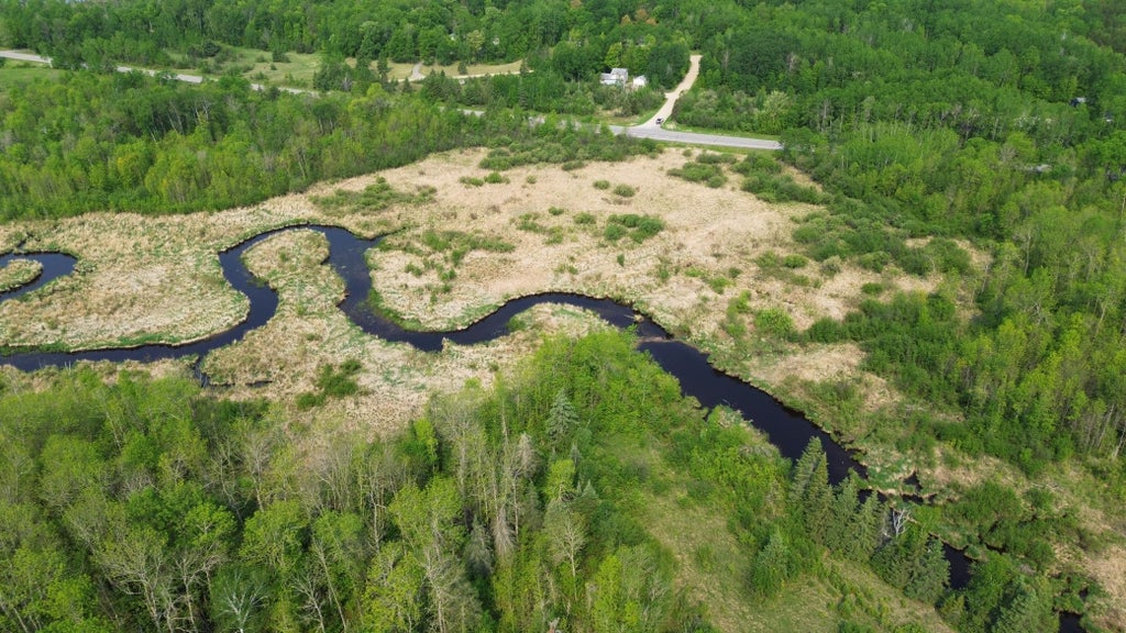 Tbd State Hwy 6, Remer - MLS #6729569 - LakePlace.com