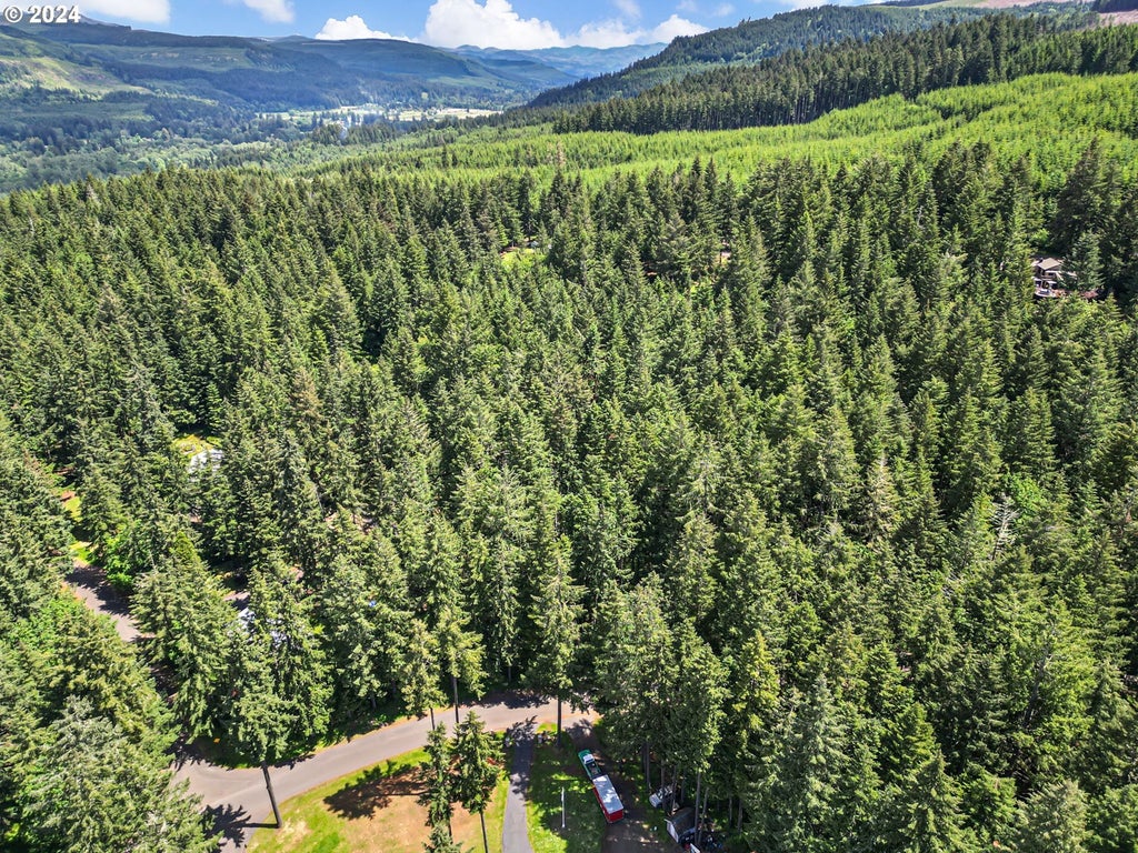 Tonga Lane, Springfield OR | Springfield Lots/Land Homes For Sale