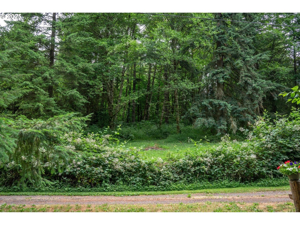 Hemlock Ct, Rainier OR | Rainier Lots/Land Homes For Sale