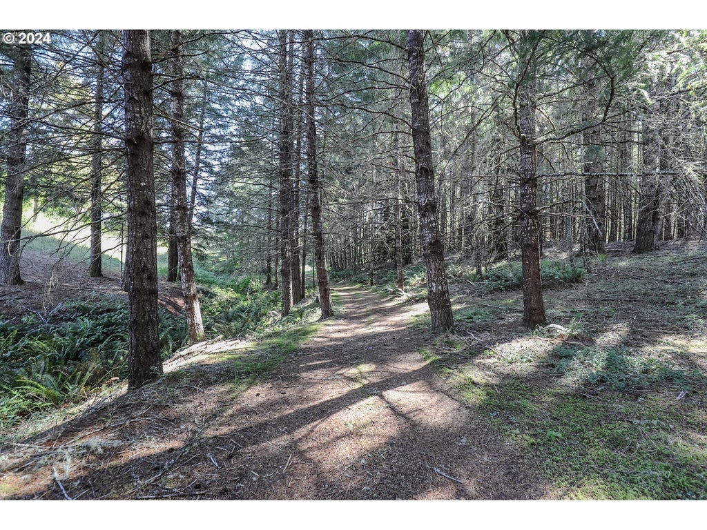 993 Kirkendahl Rd, Camas Valley OR | Camas Valley Log Cabin Homes For Sale