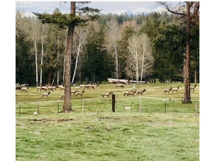 12763 Bulger Flat Ln, Haines OR | Haines Cabin Homes For Sale