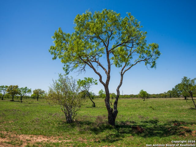 Springwood Ranch, Johnson City Property Listing: MLS® #1931961S