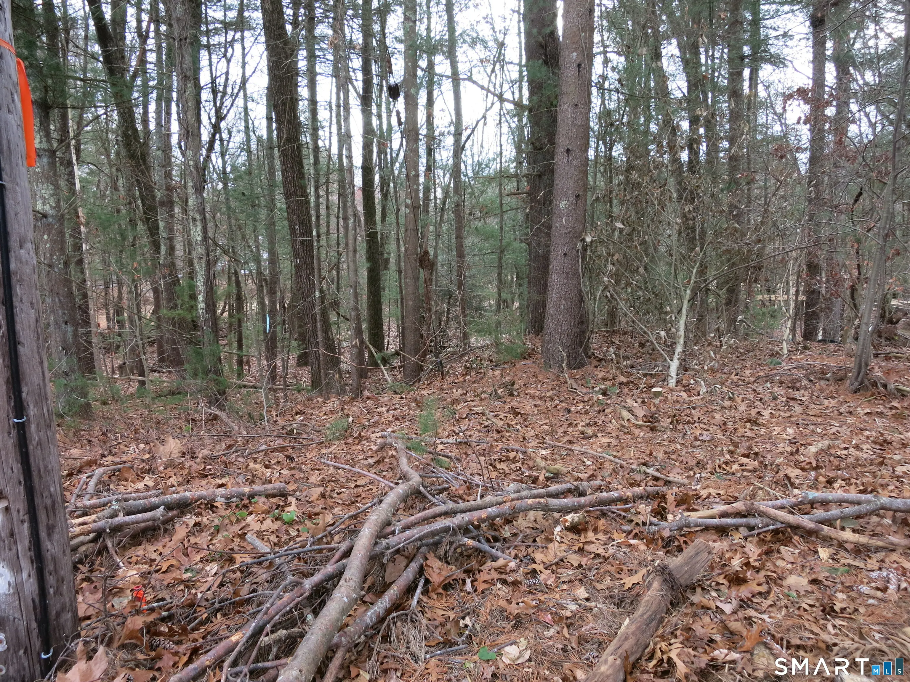 76 White Sands Road, East Haddam Property Listing: MLS® #24144466