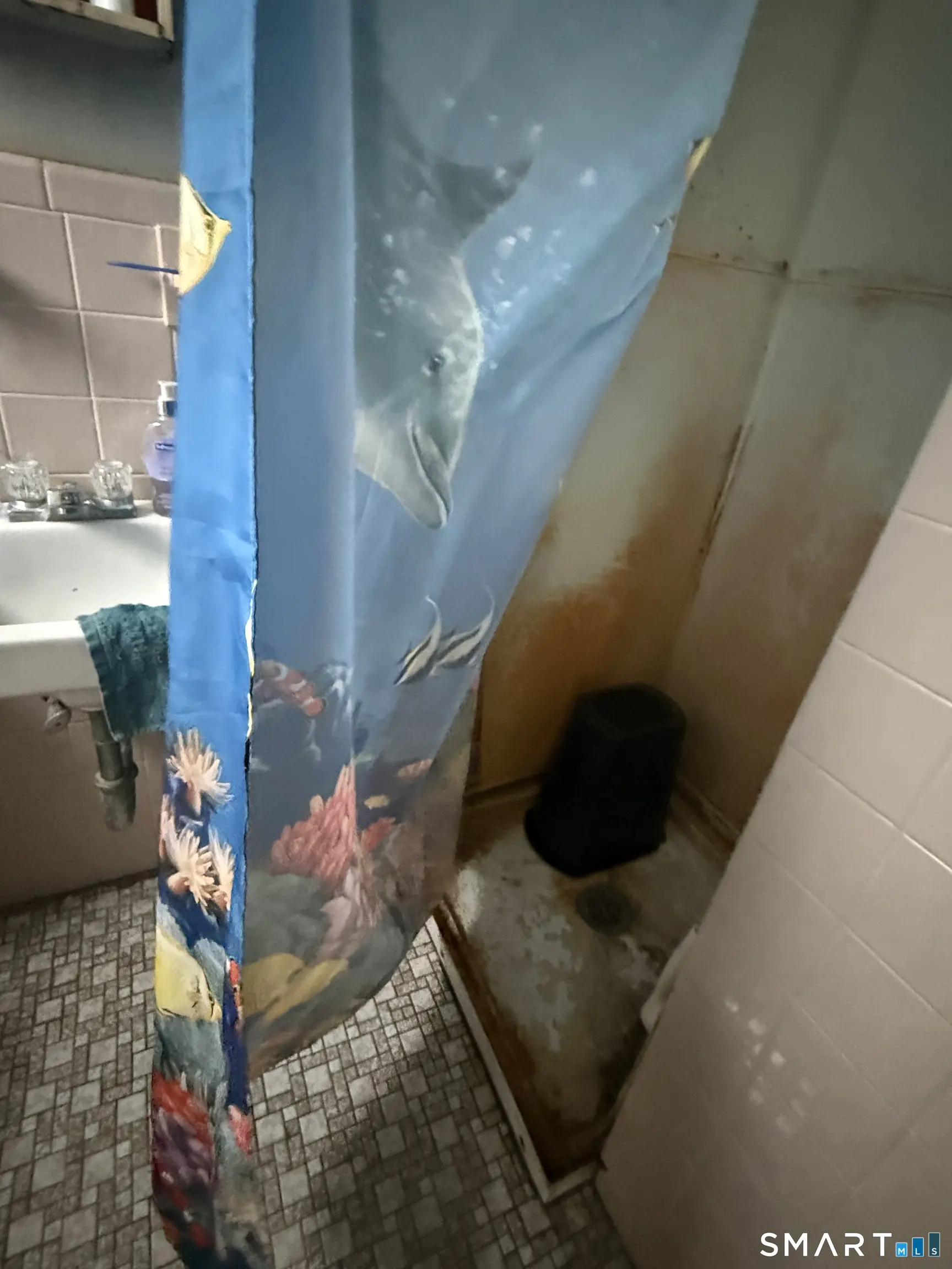 169 James Street, New Haven Property Listing: MLS® #24148888