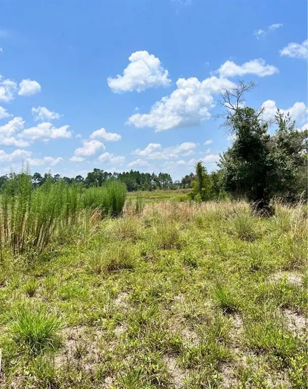 Steward Rd, EUSTIS FOREST PARK #91. MLS# G5105750