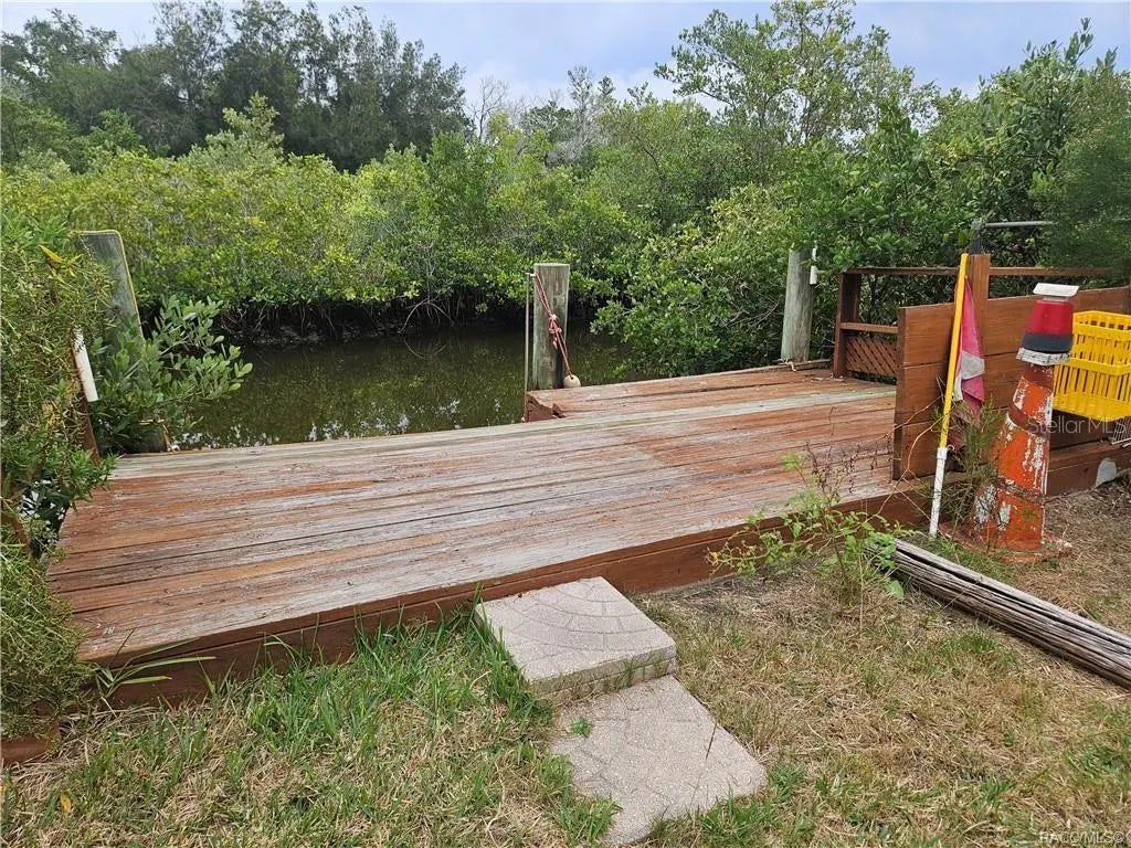 1559 S Fishcreek Point, CRYSTAL RIVER, FL 34429-5123 | MLS® #TB8465059 ...