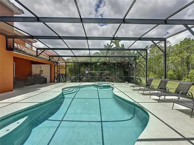 394 Orange Cosmos Blvd, DAVENPORT WATERSONG PH 01. MLS# S5140660