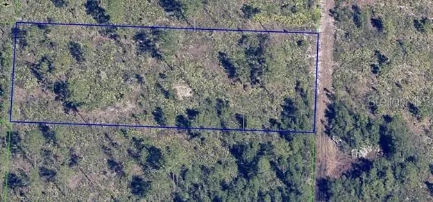 Dill Rd, ORLANDO ORANGE CO UNREC. MLS# L4958334