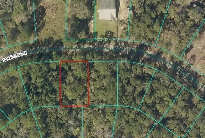 Sequoia Drive, OCKLAWAHA Property Listing: MLS® #G5106438