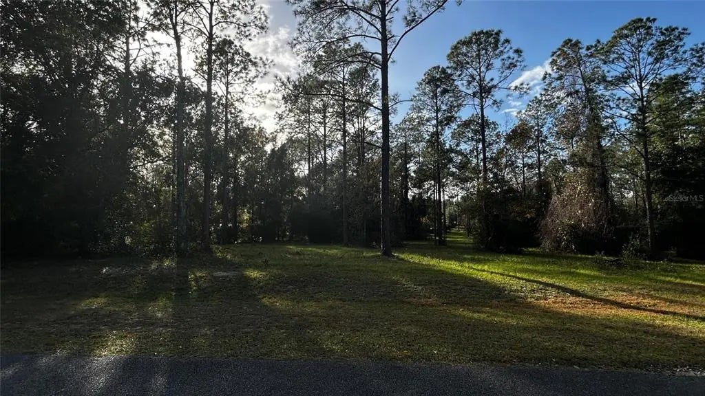 35501 Pinegate Trail, EUSTIS Property Listing: MLS® #TB8412977