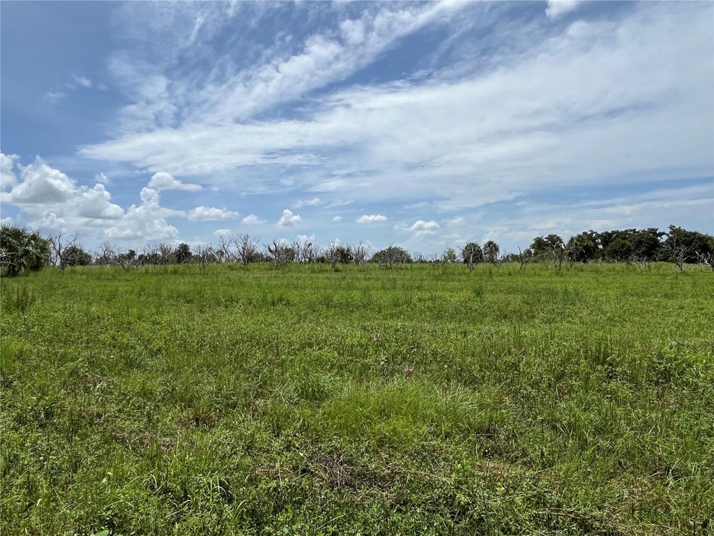Sw County Road 769, ARCADIA FL | ARCADIA Lots/Land Homes For Sale
