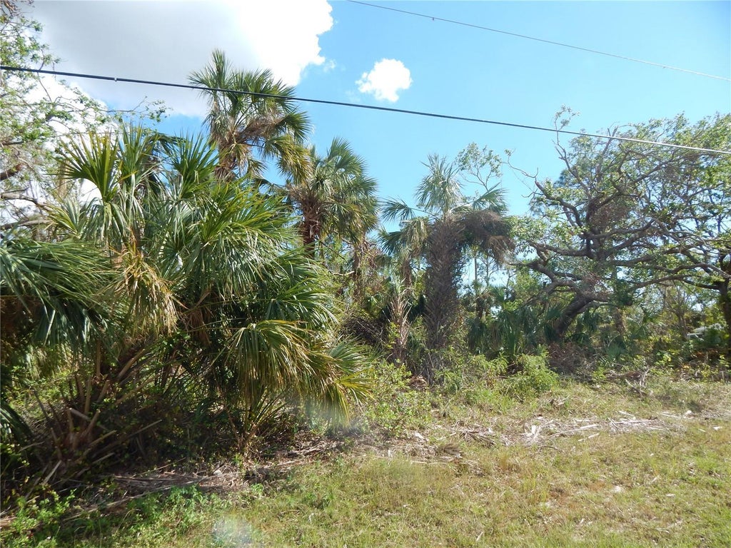 1292 Eppinger Drive, PORT CHARLOTTE FL | PORT CHARLOTTE Lots/Land Homes ...