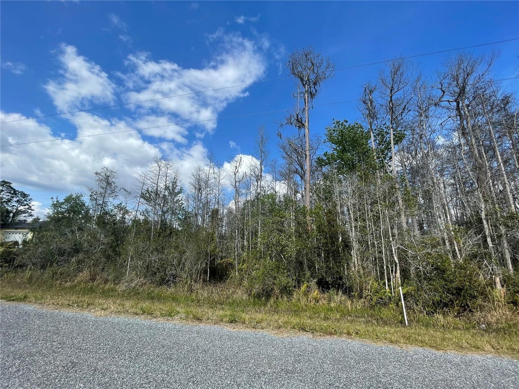 Jupiter Drive, SAINT CLOUD FL | SAINT CLOUD Lots/Land Homes For Sale