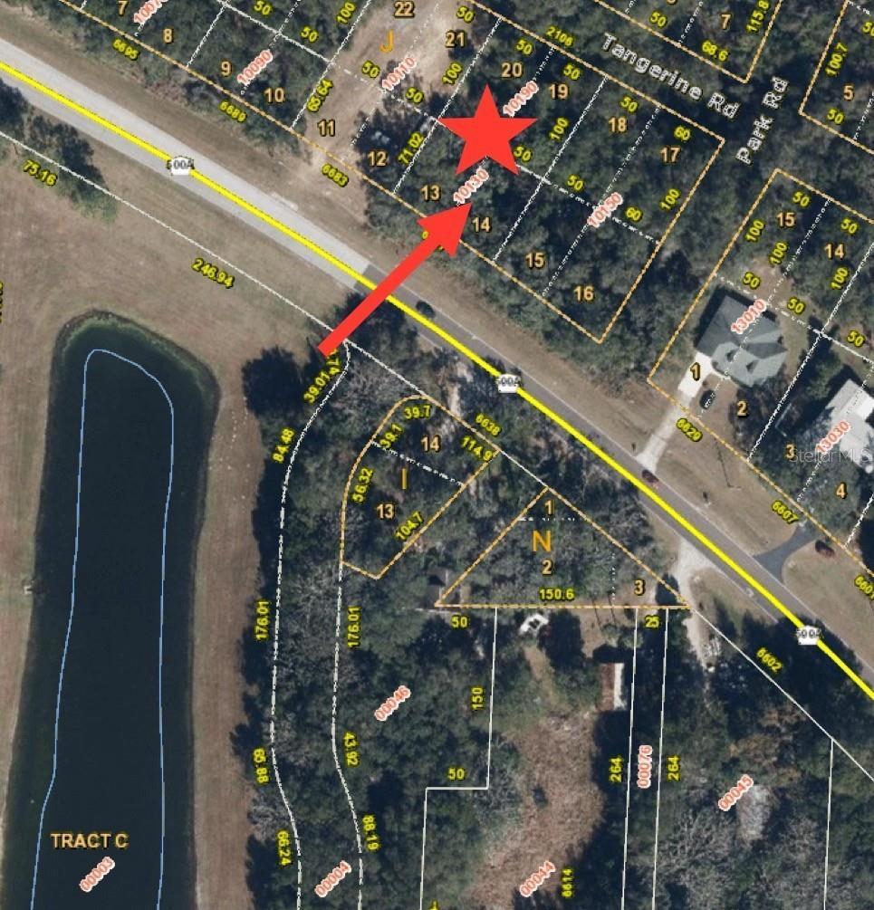 6677 North Old Hwy 441, MOUNT DORA FL | MOUNT DORA Lots/Land Homes For Sale