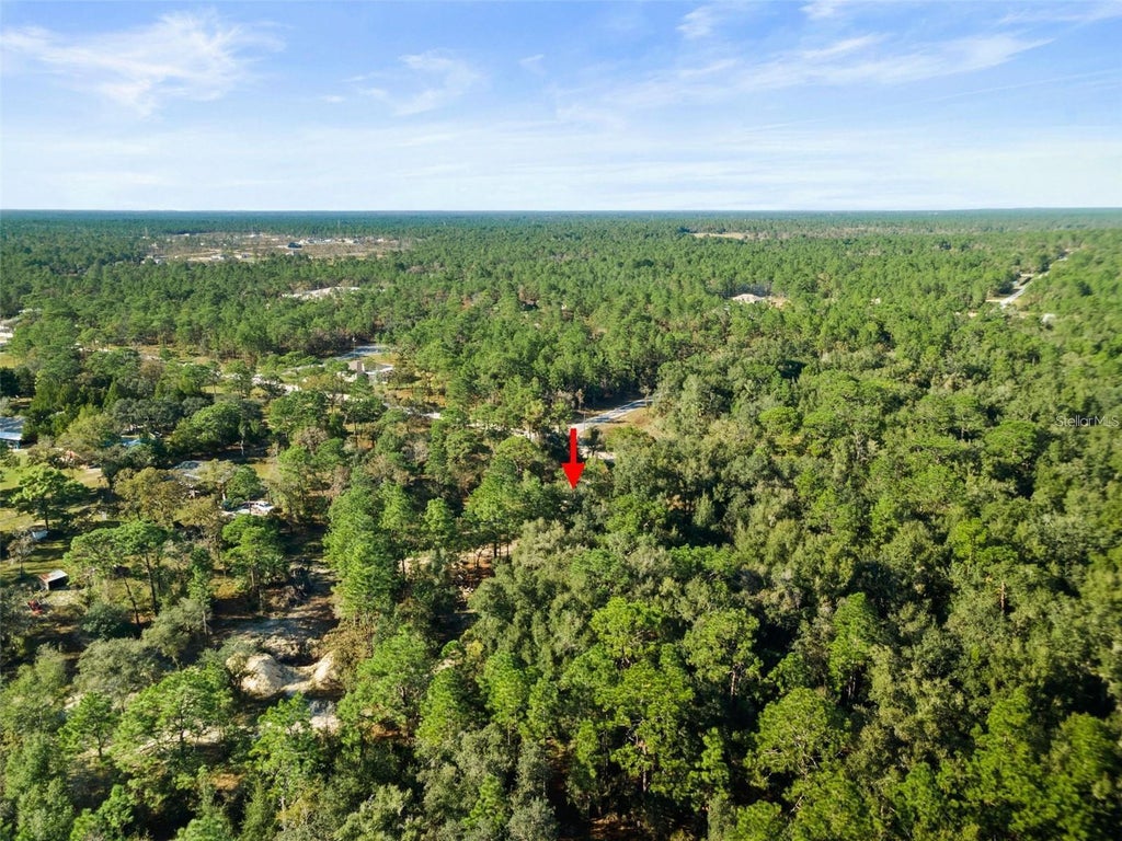 Albany Road, WEEKI WACHEE FL | WEEKI WACHEE Lots/Land Homes For Sale