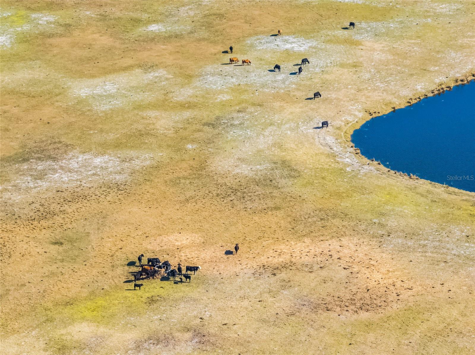 2120 St Johns River Road, ASTOR, FL 32102 V4946534 | Nicklaus Vance