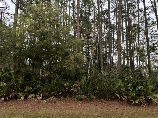 80 Edith Pope Drive, PALM COAST Property Listing: MLS® #OM691208