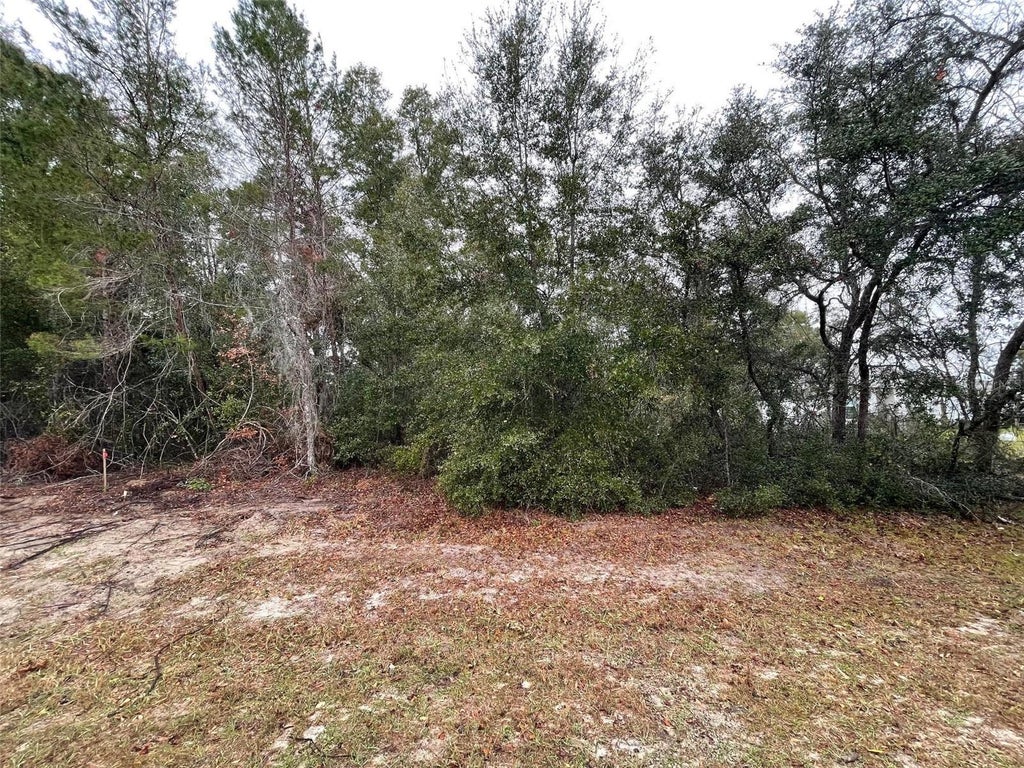 Lot 3 Marion Oaks Lane, OCALA Property Listing: MLS® #OM692544