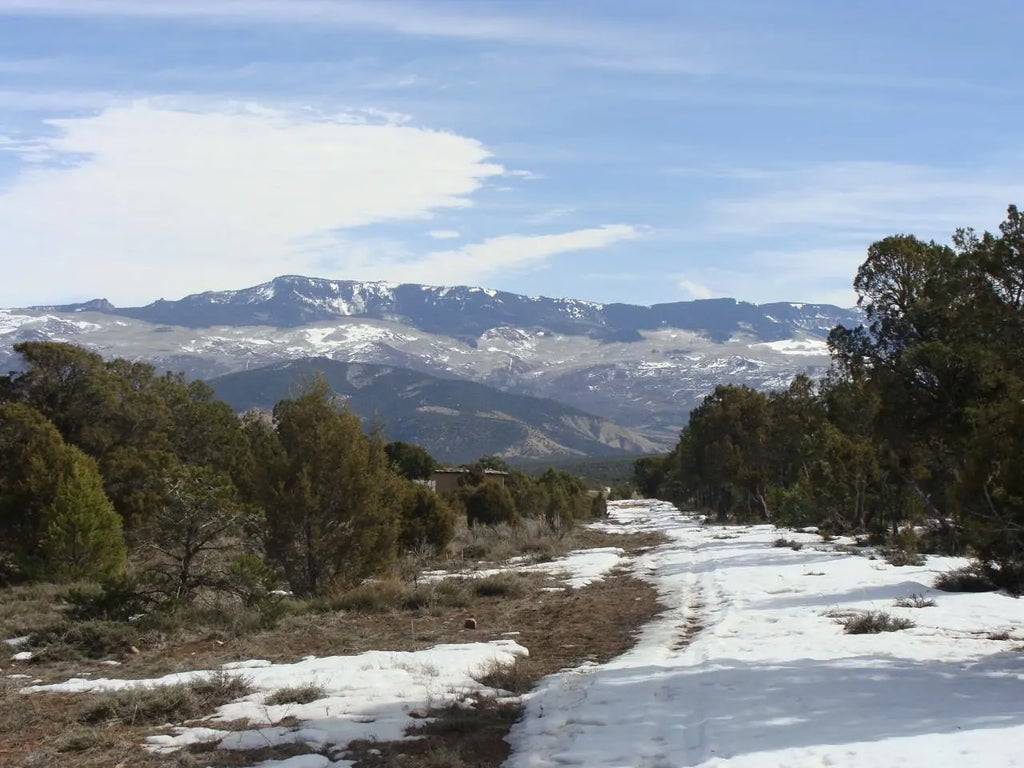 730 Snowy Peaks Drive, Montrose Property Listing: MLS® #24217