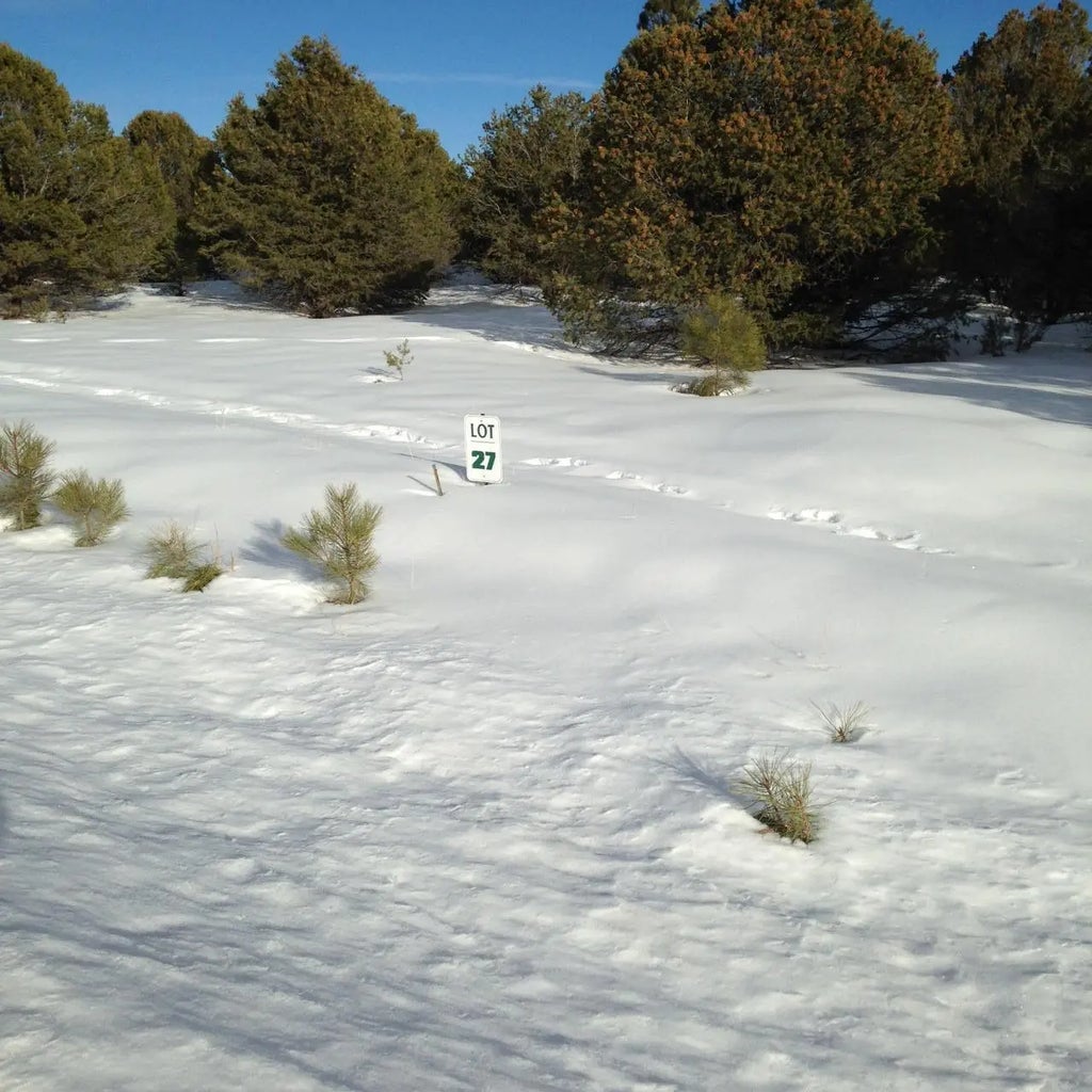 222 Fisher Canyon, Ridgway Property Listing: MLS® #33569