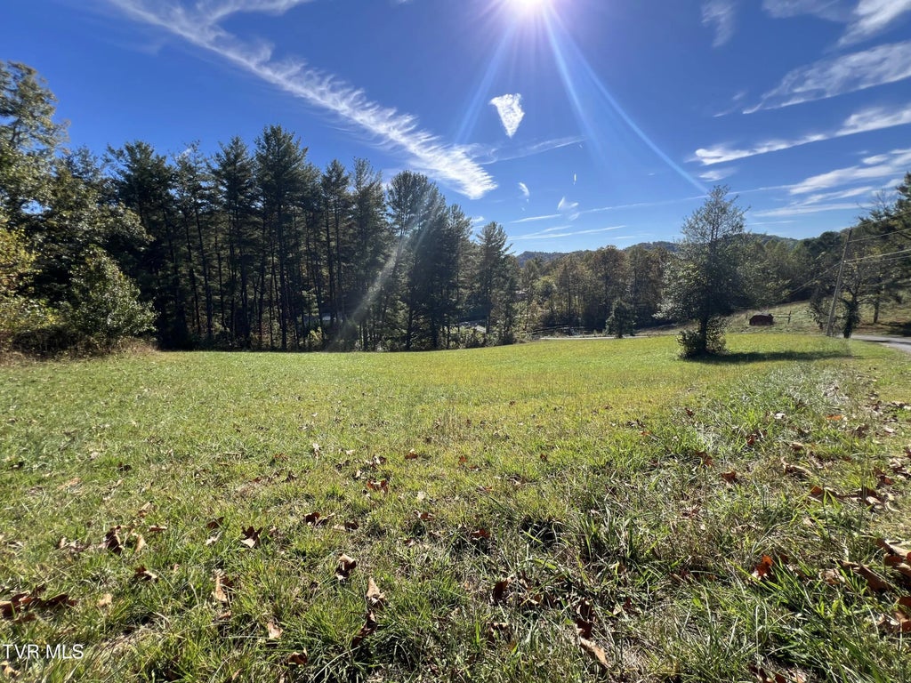 255 Central Heights Road, Blountville Property Listing: MLS® #9987500