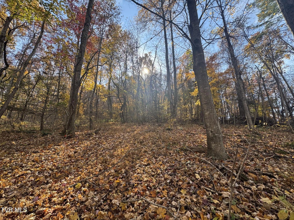 119 Rhododendron Lane, Johnson City Property Listing: MLS® #9988361