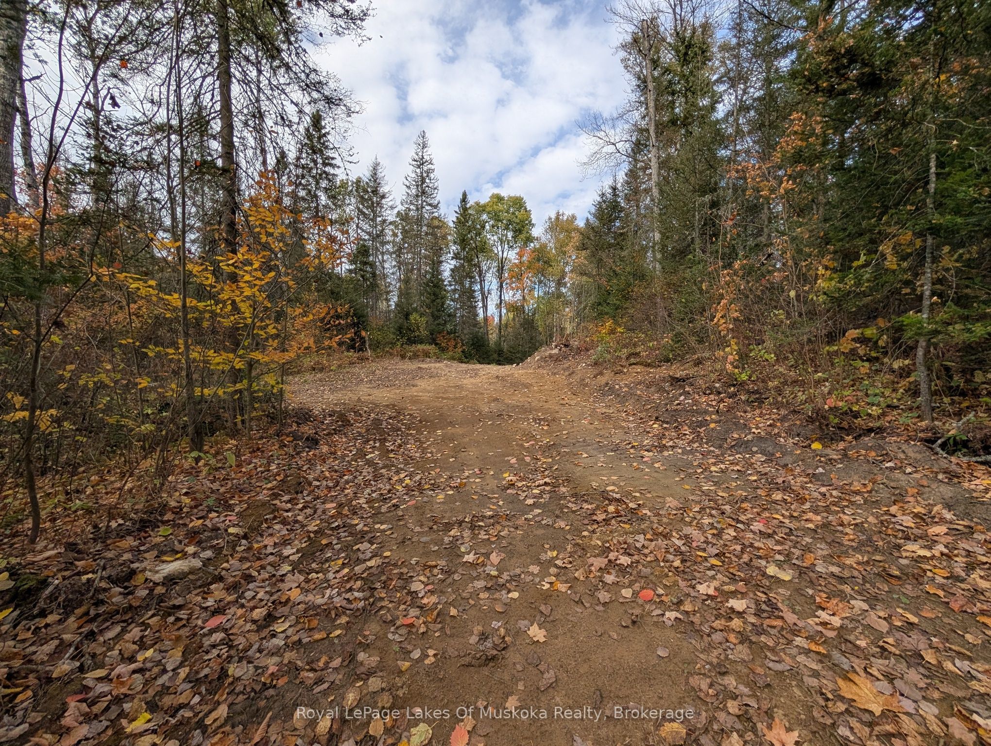 Forest Lake Road - Home for Sale | London Ontario Real Estate