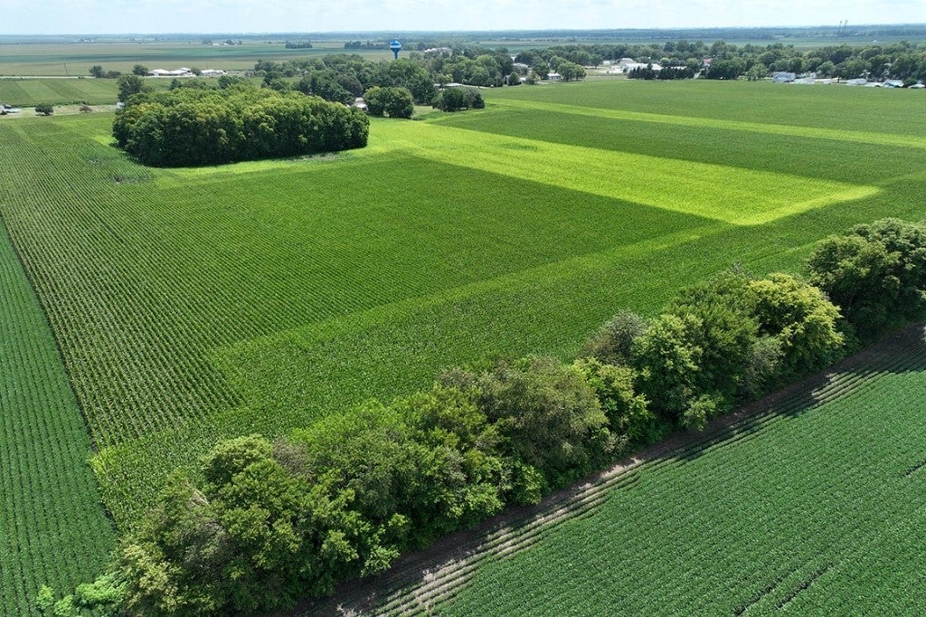 East Street, Oreana Property Listing: MLS® #6249335