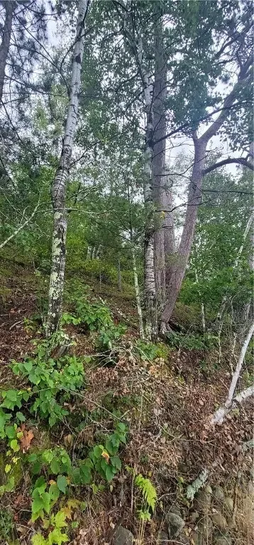 12029 Lot 4 E County Highway Y, Gordon - MLS #1585366 - LakePlace.com