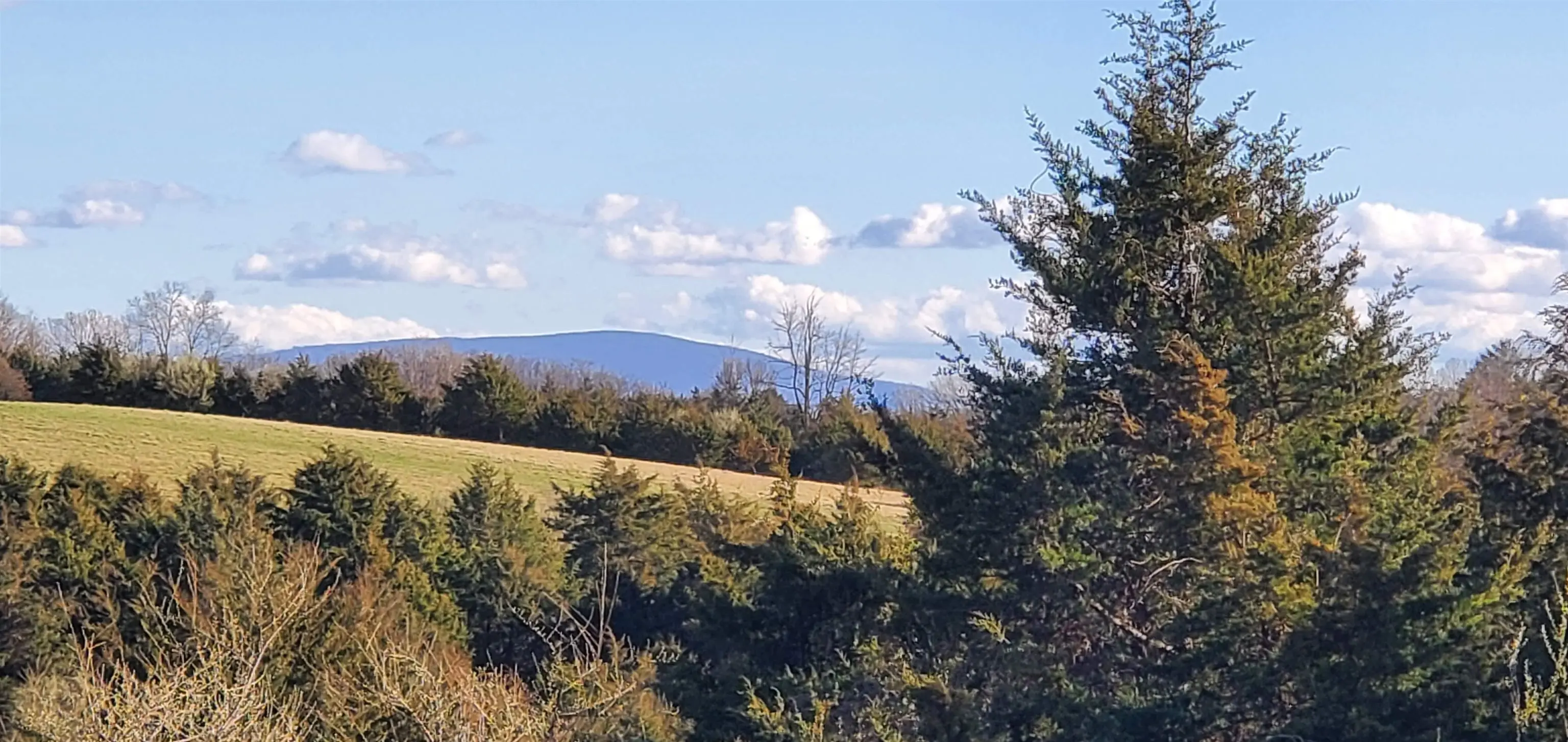 3 Crown Ridge Berry Farm Rd, Staunton Property Listing: MLS® #637841