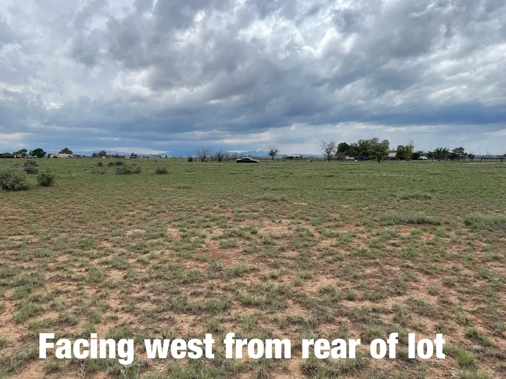 Clara Lane, McIntosh Home For Sale $6,000