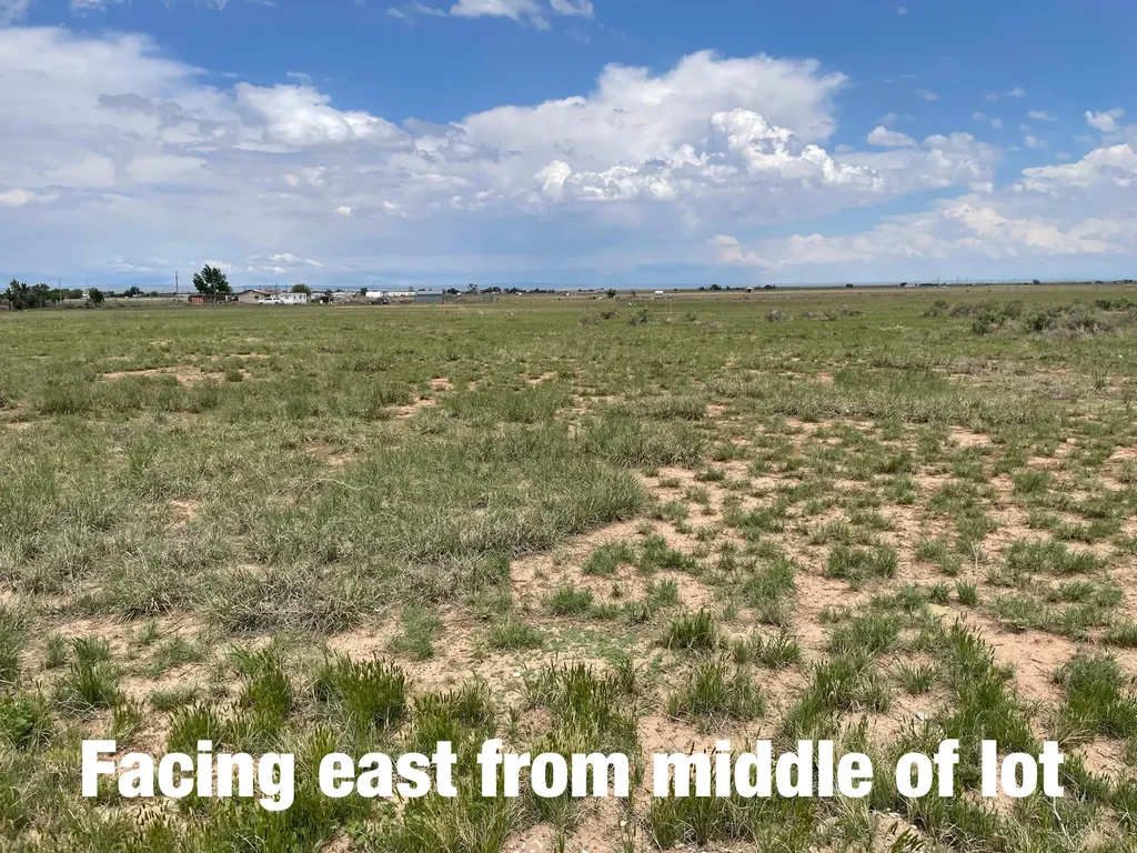 Clara Lane, McIntosh Home For Sale $6,000