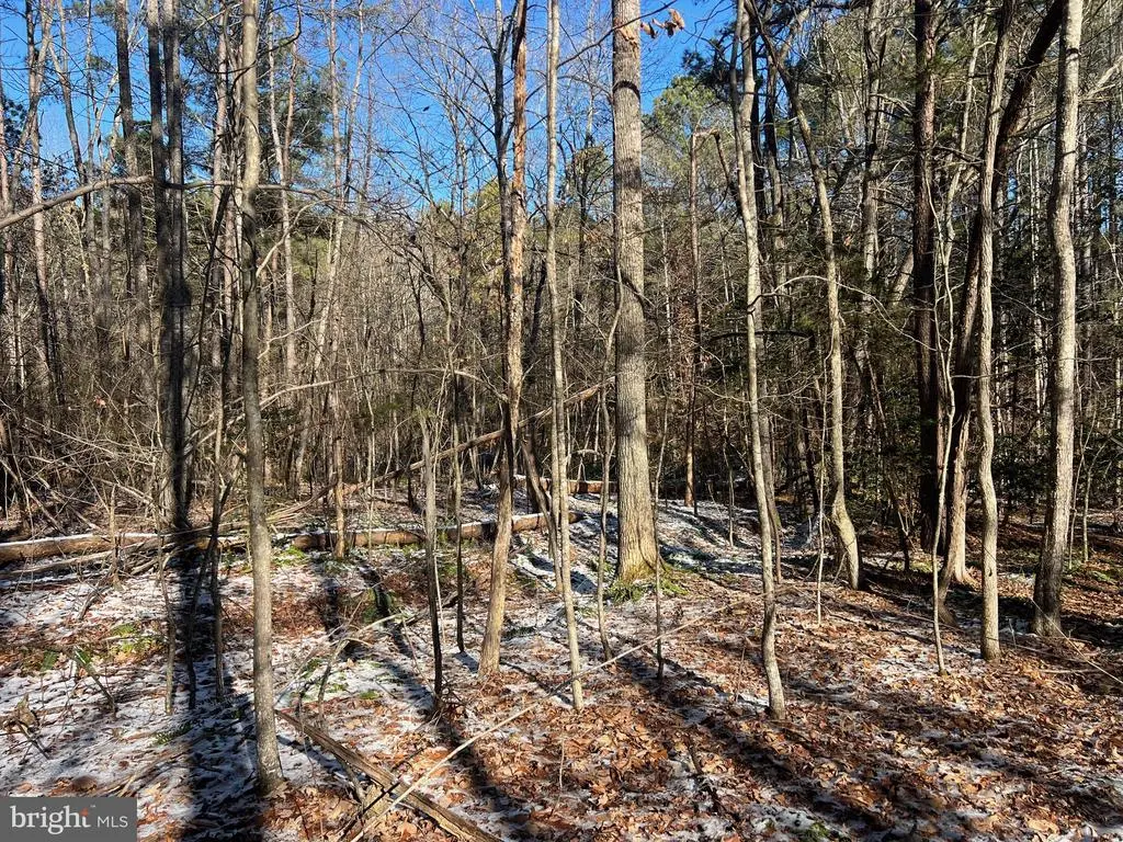 Roderick Pl, Mineral Property Listing: MLS® #VALA2009036