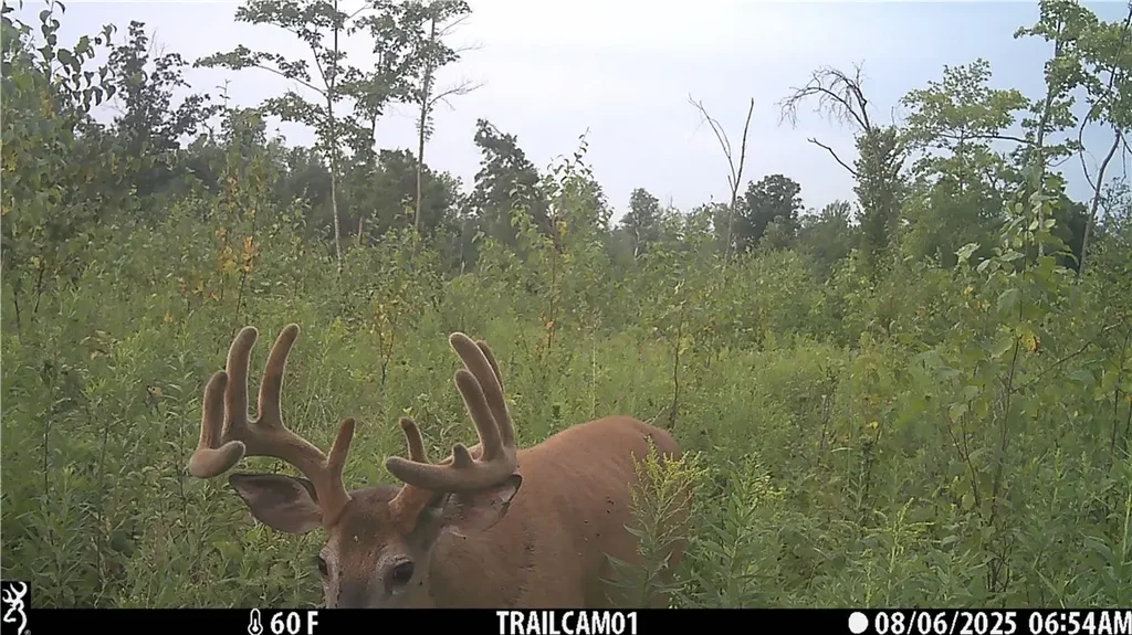 1581 50th Street, Turtle Lake, WI - MLS# 1597887 - LandBin.com