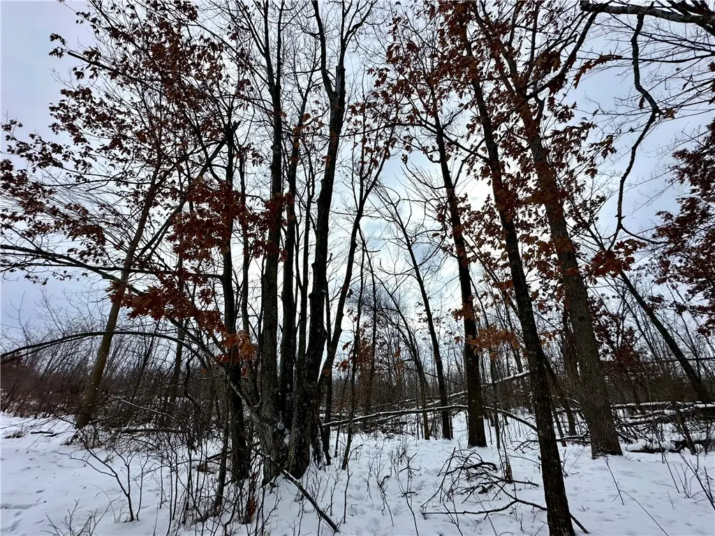 1581 50th Street, Turtle Lake, WI - MLS# 1597887 - LandBin.com