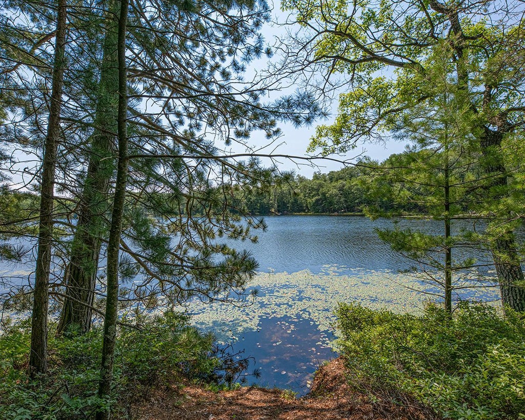 6805 Long Lake Dr, Rhinelander - MLS #202431 - LakePlace.com