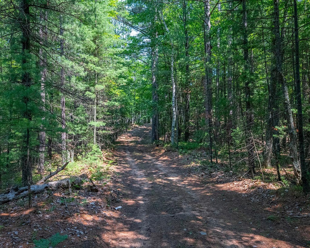 6805 Long Lake Dr, Rhinelander - MLS #202431 - LakePlace.com