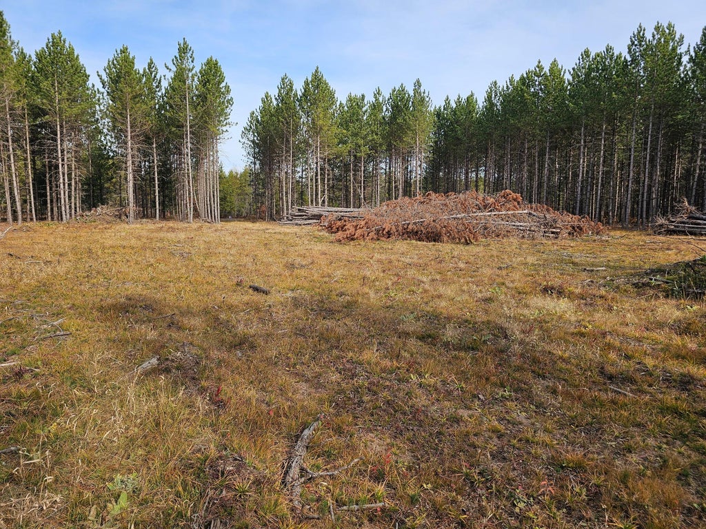 On Burrows Lake Rd, Tomahawk, WI - MLS# 209590 - LandBin.com